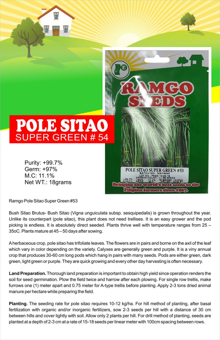 Pole Sitao Super Green - No.1 Termite Pest Control Services in the ...