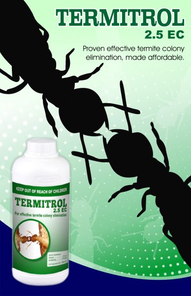 Termite Control - No.1 Termite Pest Control Services in the Philippines